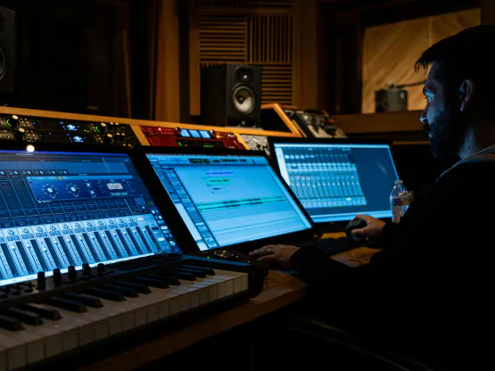 DAW Session Organization: Pro Workflow & Asset Management - Sonarworks ...